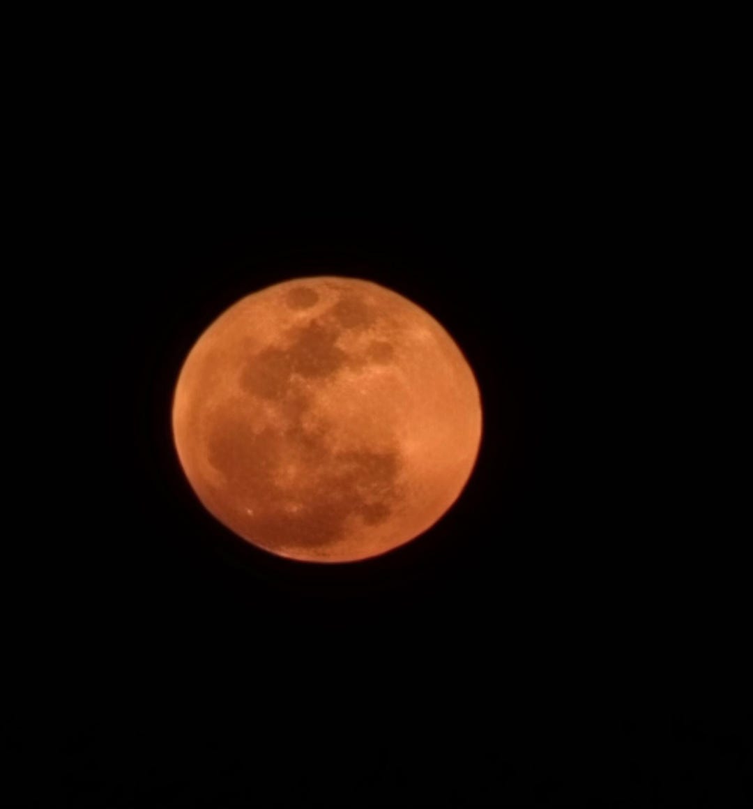 March Full Moon - Etsy