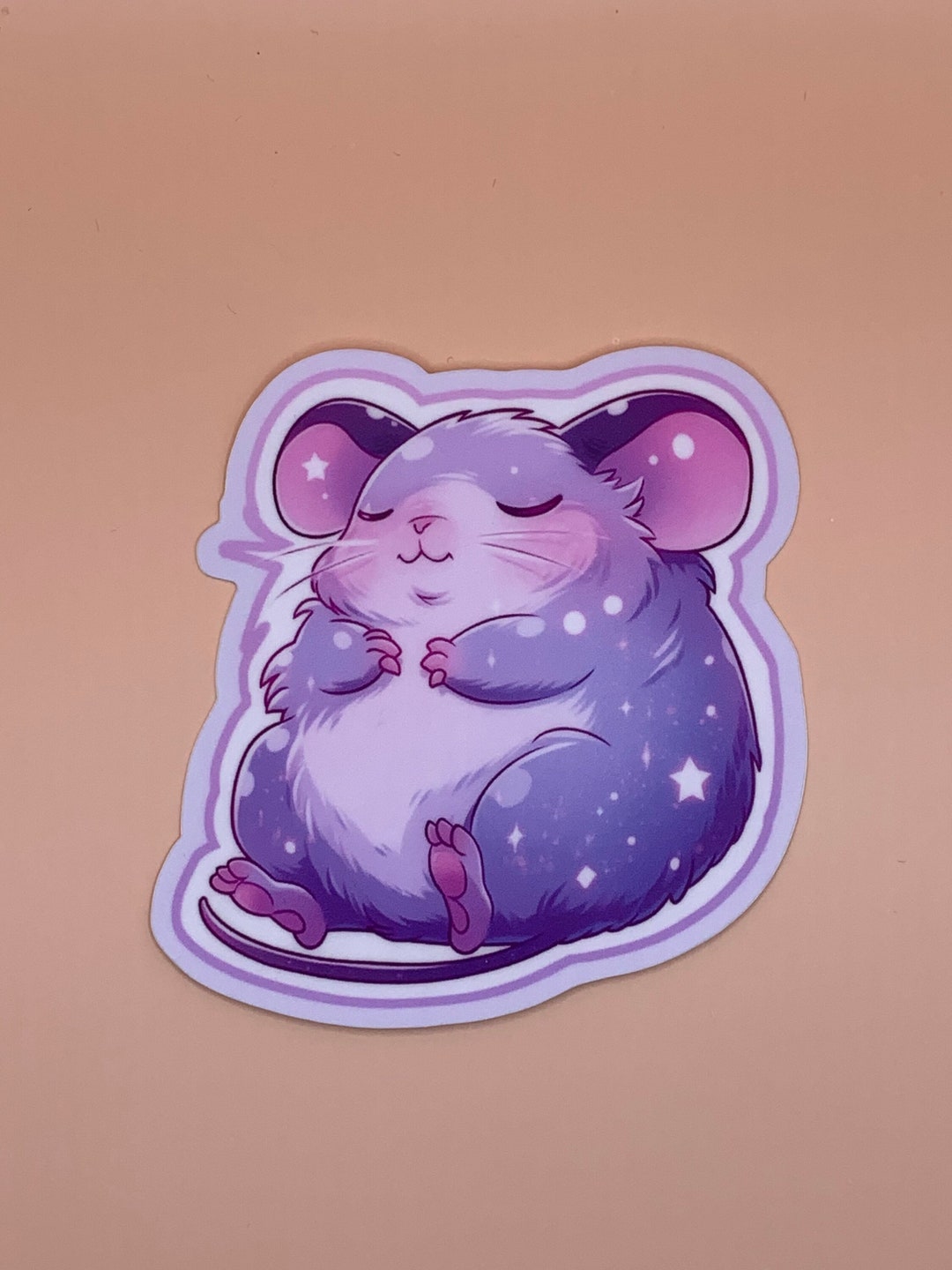 Cosmic Chubby Rat Chibi Cute Vinyl Laptop Water - Etsy