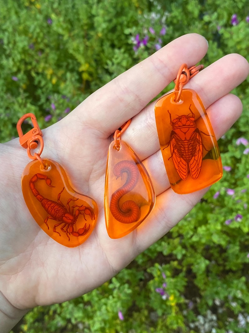 Faux Amber Insect Fossil Acrylic Keychains - Etsy