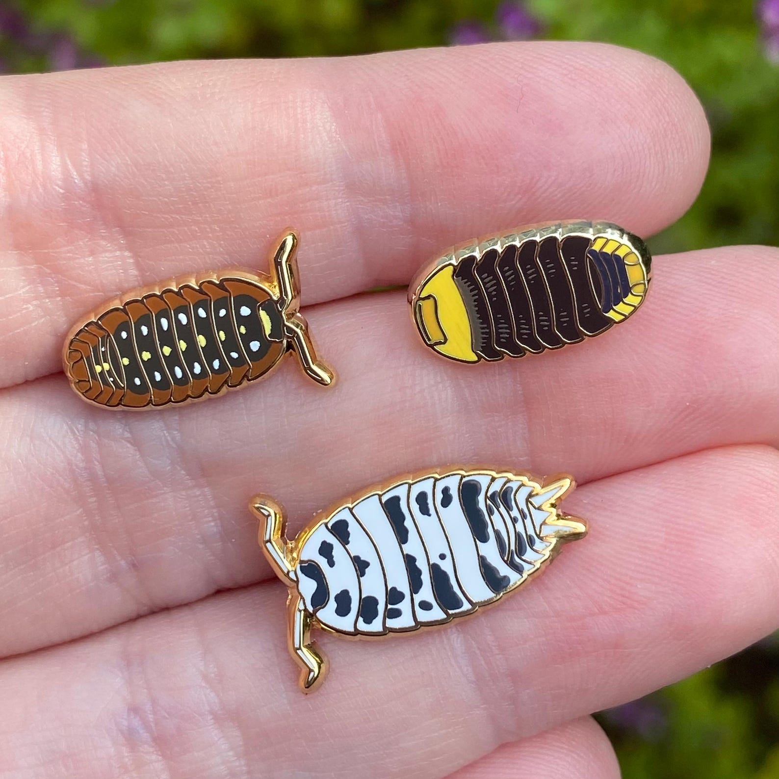 Isopod Enamel Pin Set - Etsy