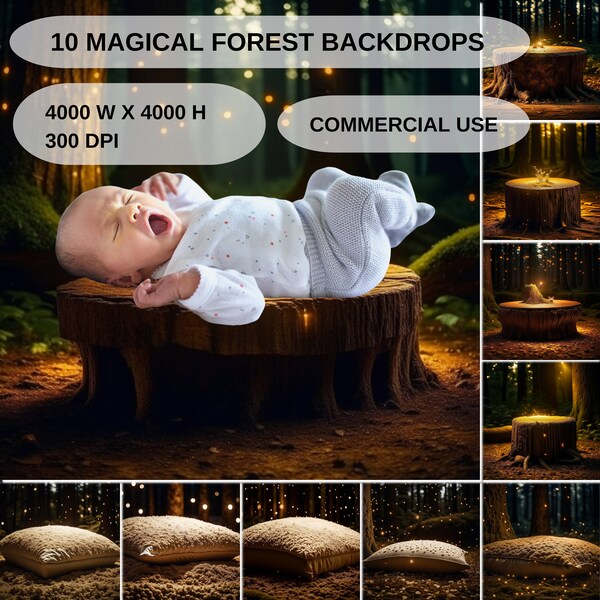 Forest Backdrop - Etsy