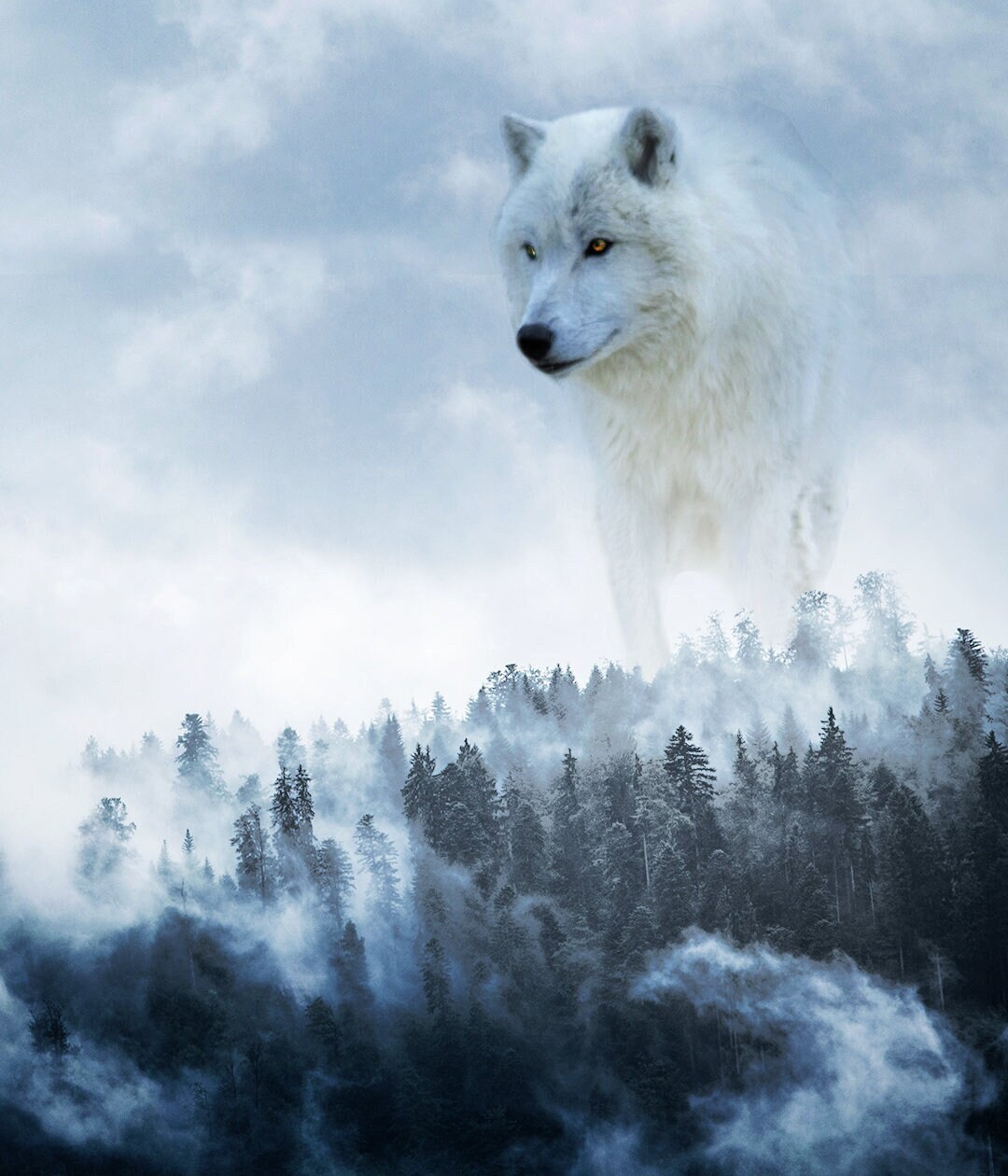 White Wolf Wallpaper 1920x1080