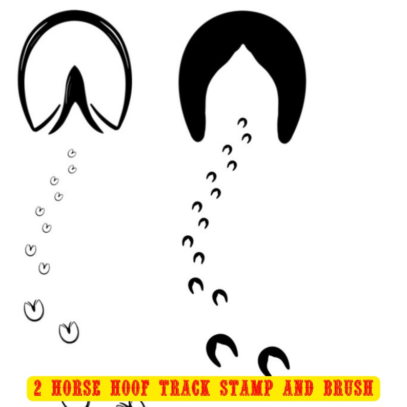 20 Horseshoe Tracks and Stamps for Procreate | Horse Hoof Track Brush ...