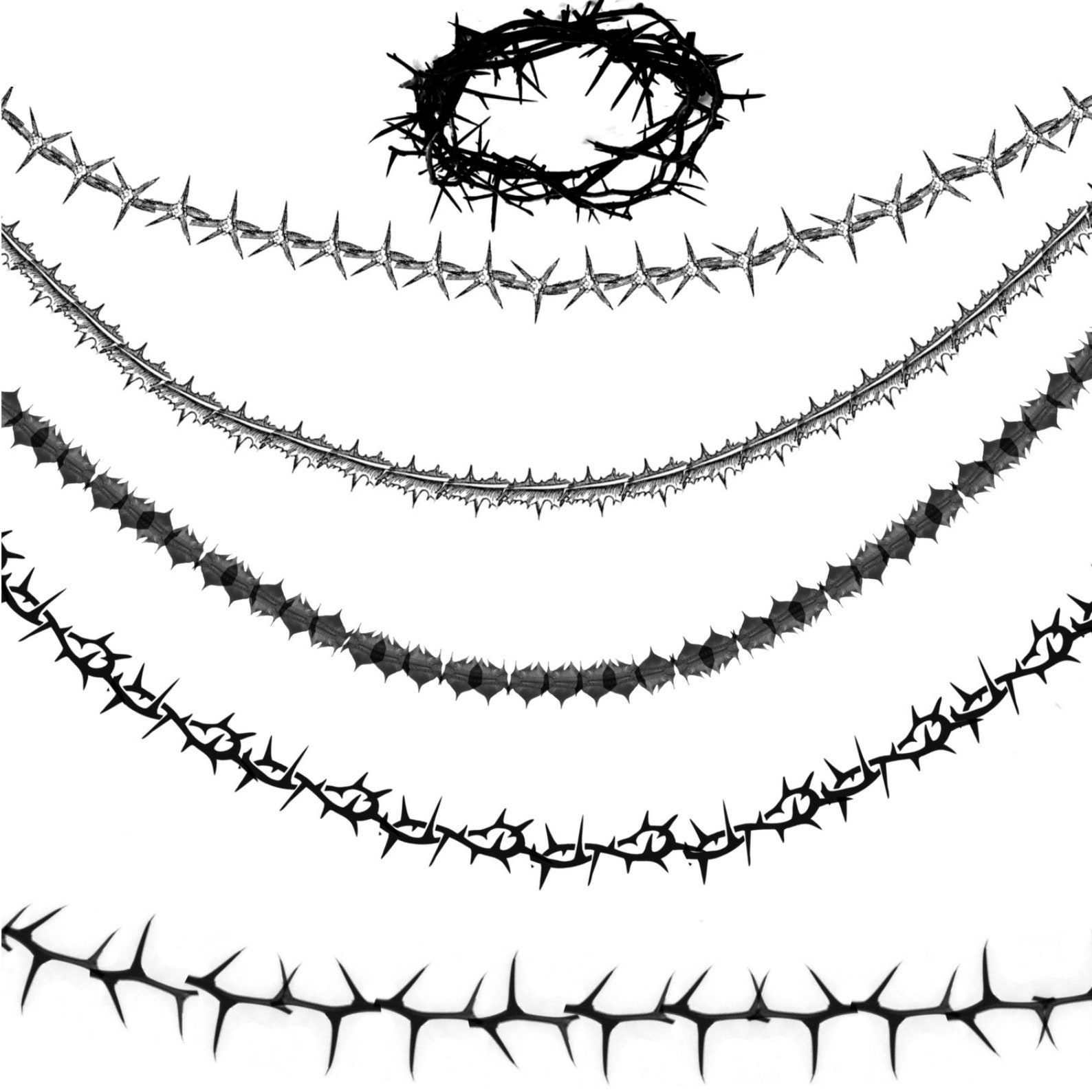 High Quality Thorns Procreate Brush, Vines, Foliage Procreate Brushes ...