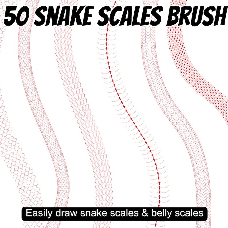 100 Procreate Snake Brush & Snake Builder Kit- (snake Outline Brush, 3D ...