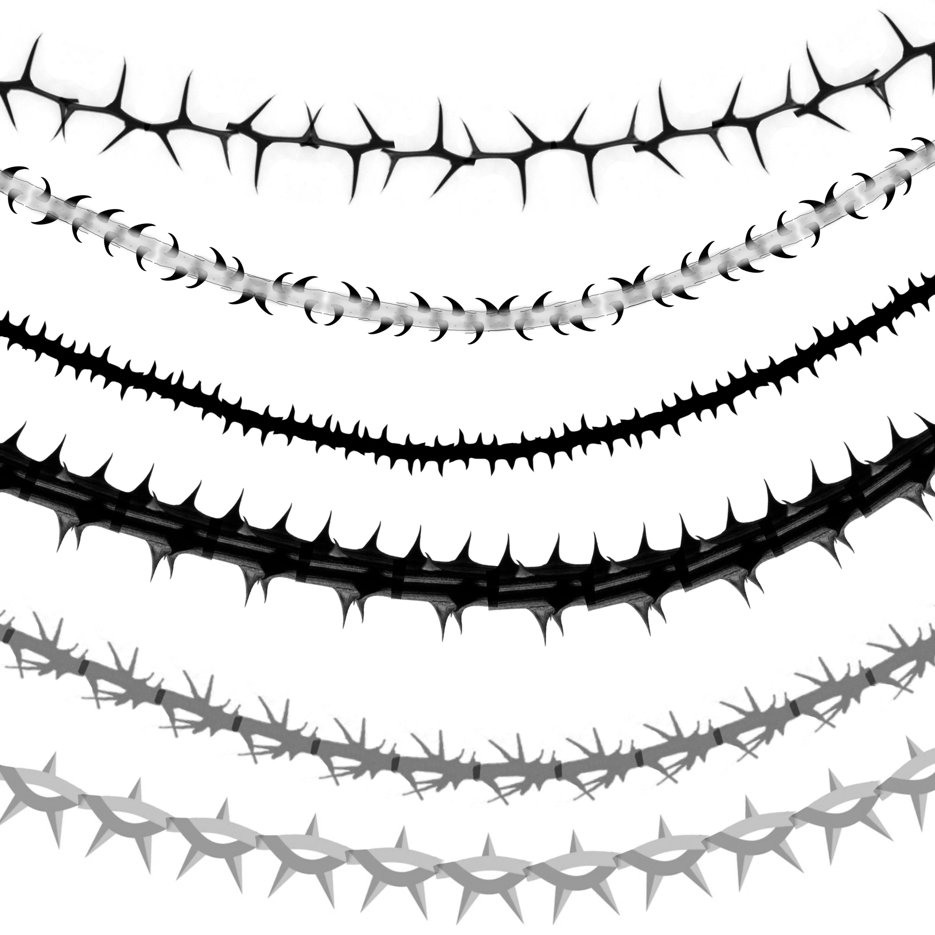 High Quality Thorns Procreate Brush Vines Foliage Procreate - Etsy ...