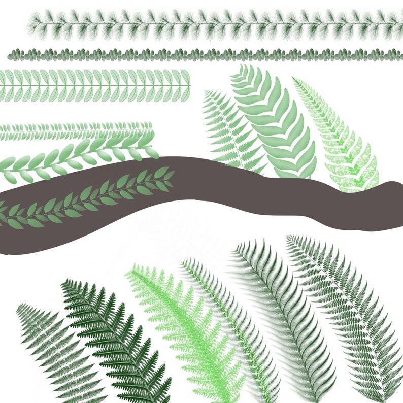 Natural Fern Procreate Brushes (50+) and Stamps, Greenery Brushes ...