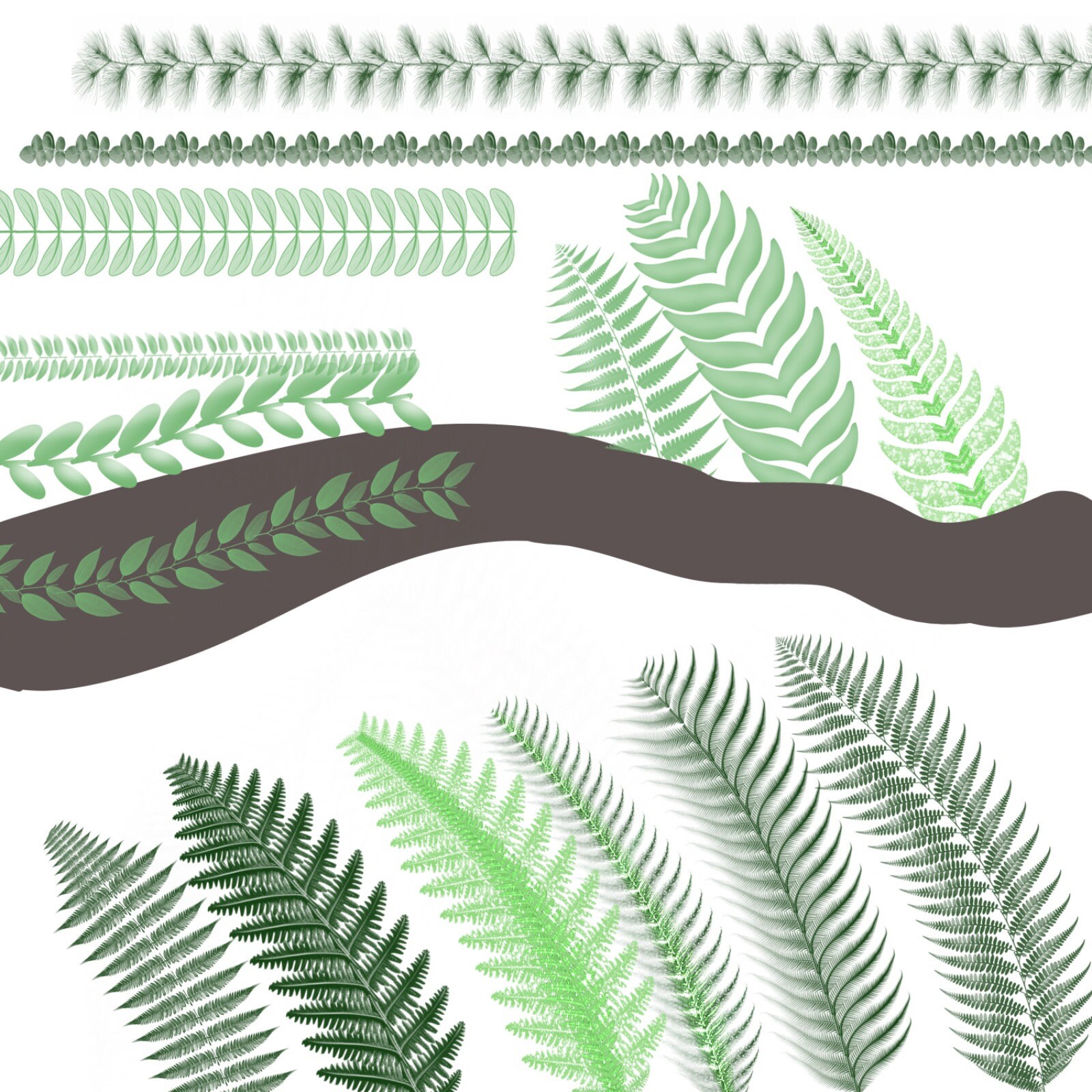 Natural Fern Procreate Brushes (50+) and Stamps, Greenery Brushes, Dynamic Greenery Brush ...