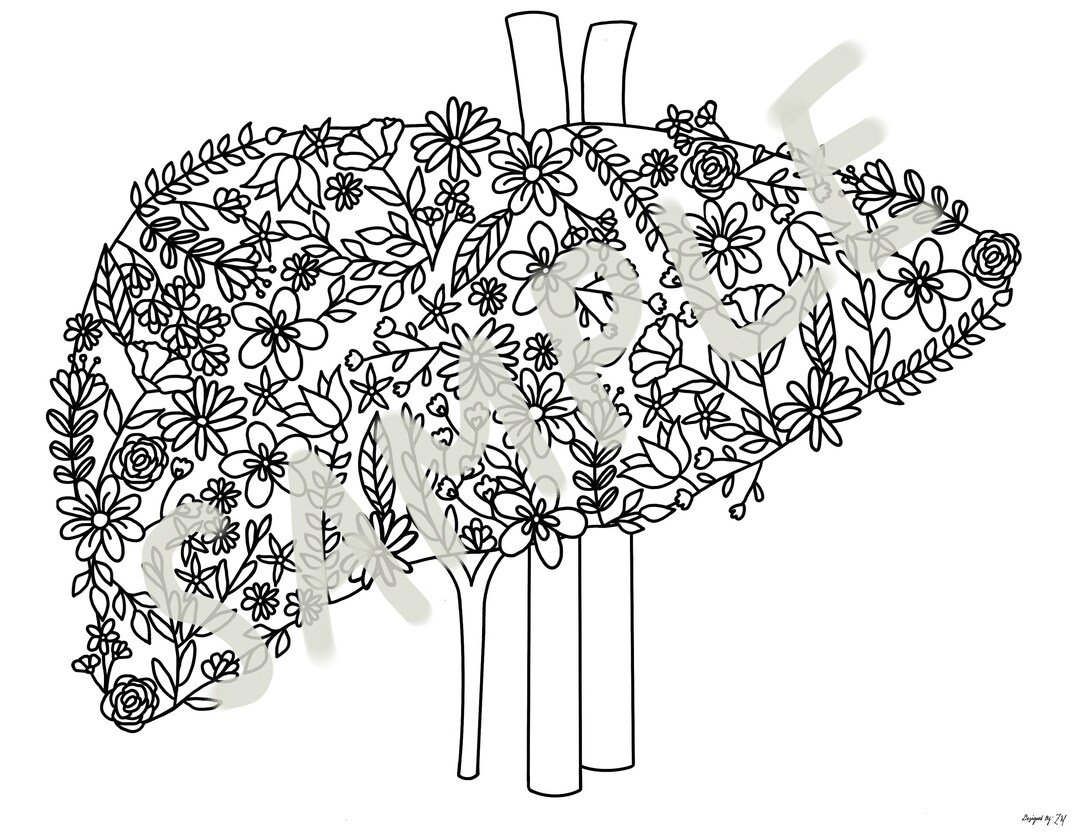 Floral Liver Coloring Page - Etsy