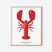 Anatomy of Lobster Homeschool Resources Nature School Ocean Study ...