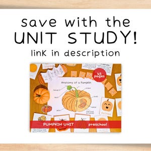 Anatomy of Pumpkin | Homeschool Resources Nature School Botany Study ...