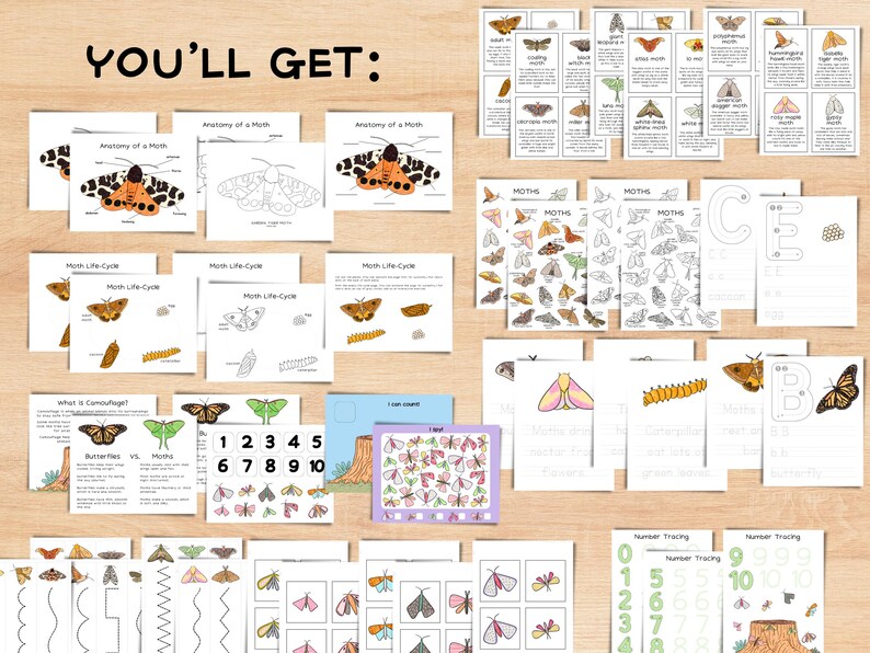 Moth Unit Study | Toddler Homeschool Autumn Unit Charlotte Mason ...