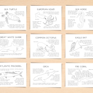 Ocean Animals and Sea Creatures Coloring Book Beach Unit Homeschool ...