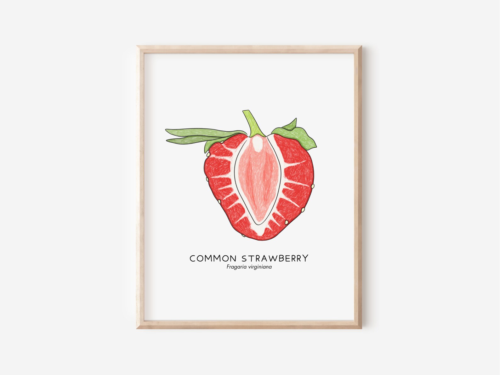 Anatomy of a Strawberry Study | Charlotte Mason Homeschooling Printable ...