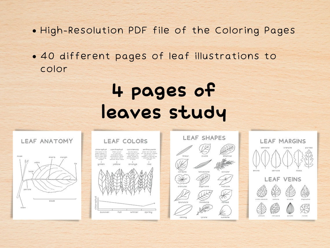 Leaves Unit Study Coloring Book | Homeschool Resources Nature School ...