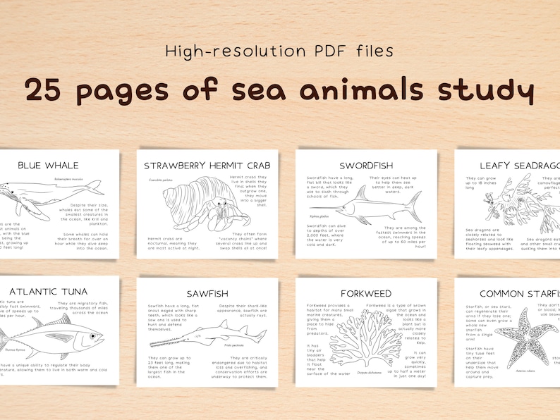 Ocean Animals and Sea Creatures Coloring Book Beach Unit Homeschool ...