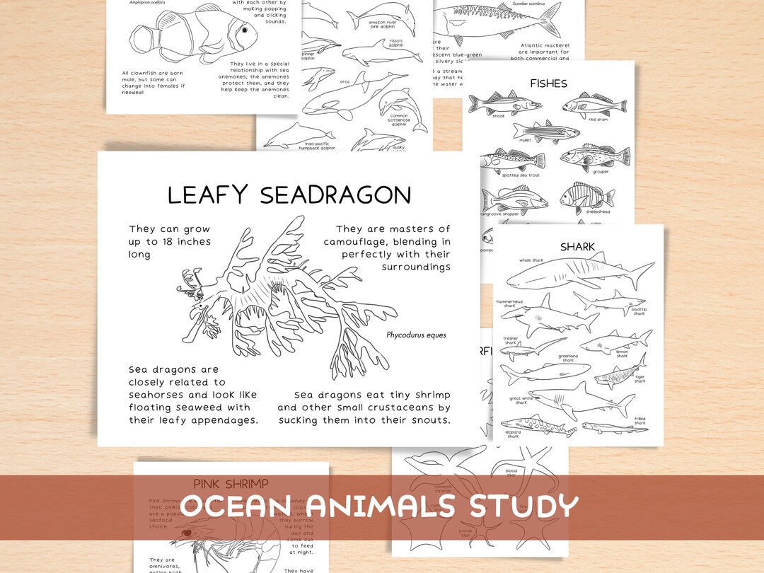 Ocean Animals and Sea Creatures Unit Study Coloring Book | Beach Unit ...