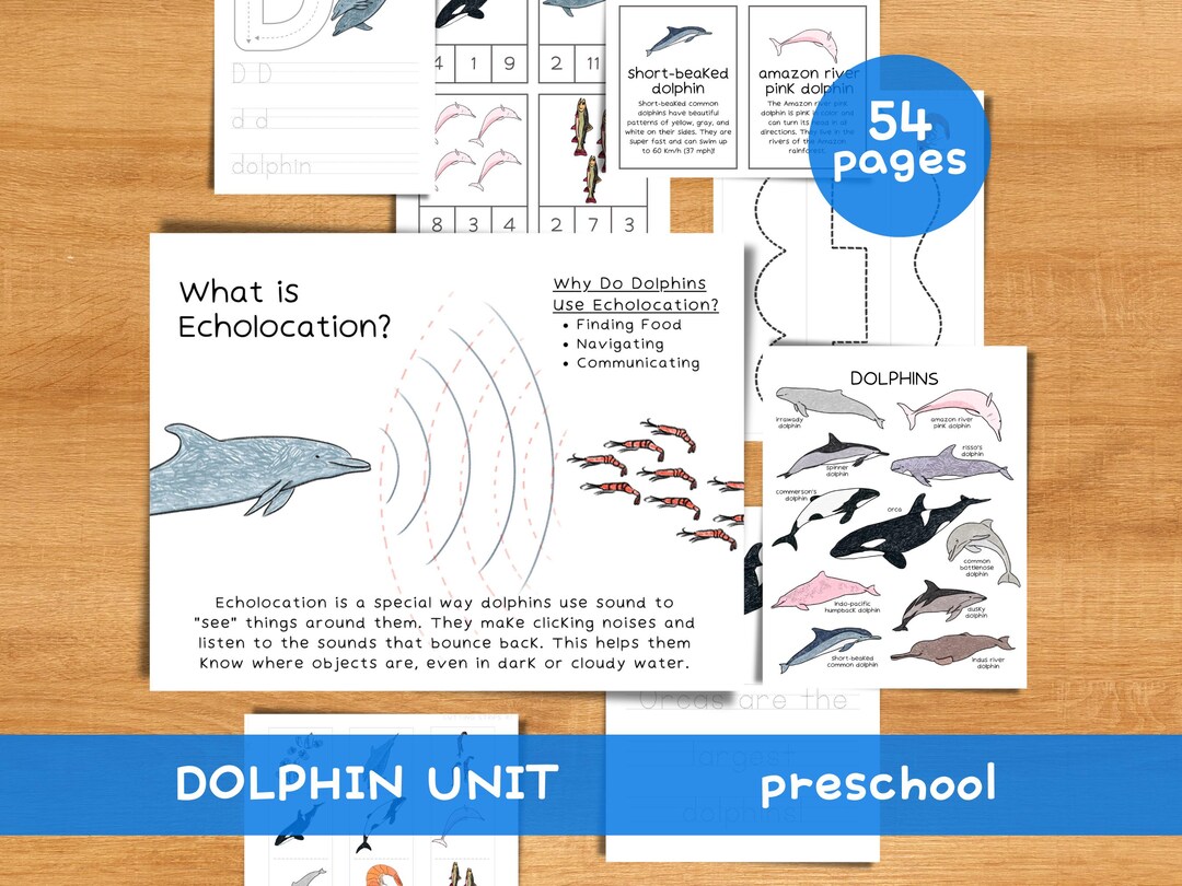 Dolphin Unit Study | Toddler Homeschool Resources Nature Study Charlotte Mason Ocean Unit ...