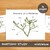 Anatomy of a Robin | Charlotte Mason Resources Nature School Bird Unit ...