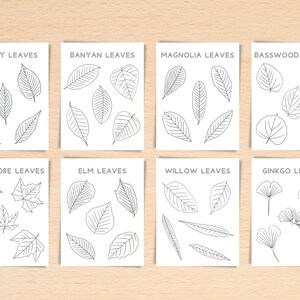 Leaves Unit Study Coloring Book | Homeschool Resources Nature School ...