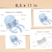 Anatomy of Jellyfish | Homeschool Resources Nature School Ocean Study ...