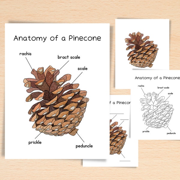 Nature Poster - Etsy