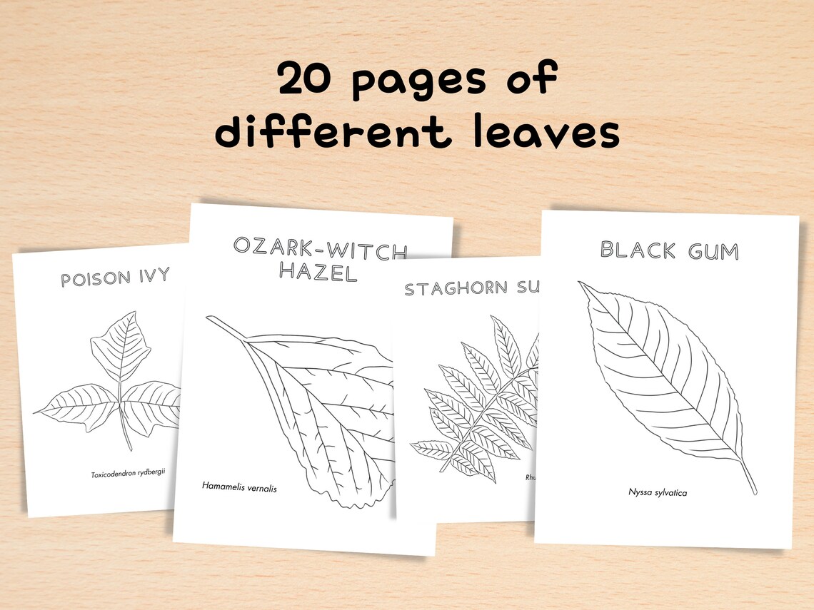 Leaves Unit Study Coloring Book | Homeschool Resources Nature School ...