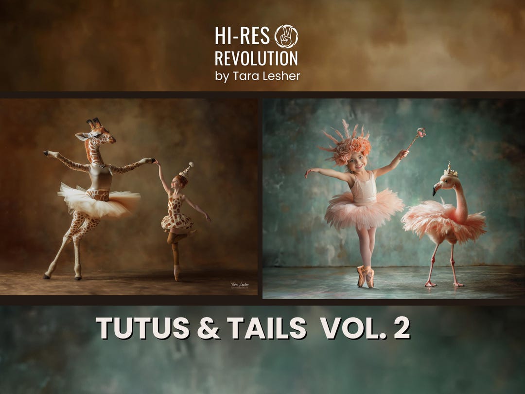 Ballet Studio Digital Backdrop: Photoshop Photography Overlay Bundle - Etsy
