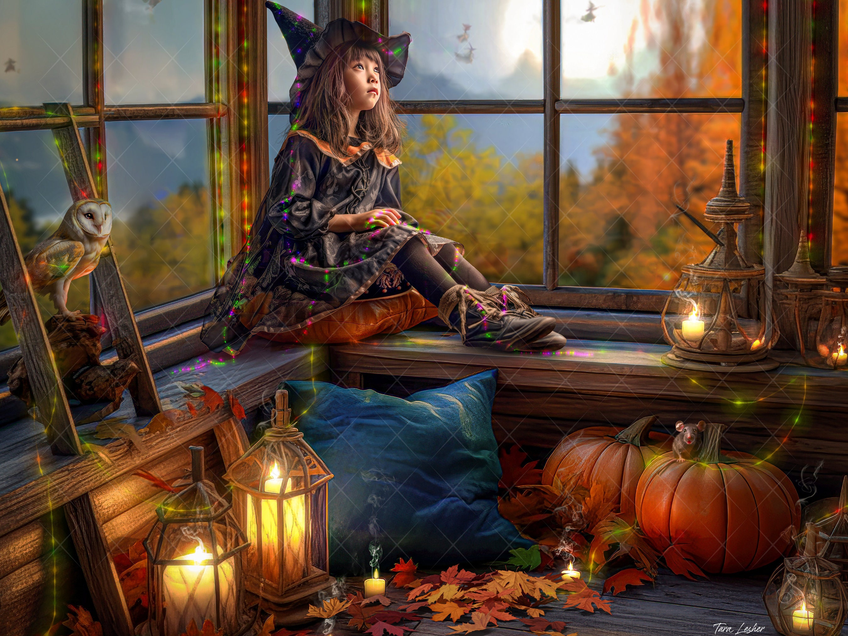 Witches Attic Fall Digital Background for Photographers, Dark and Moody ...
