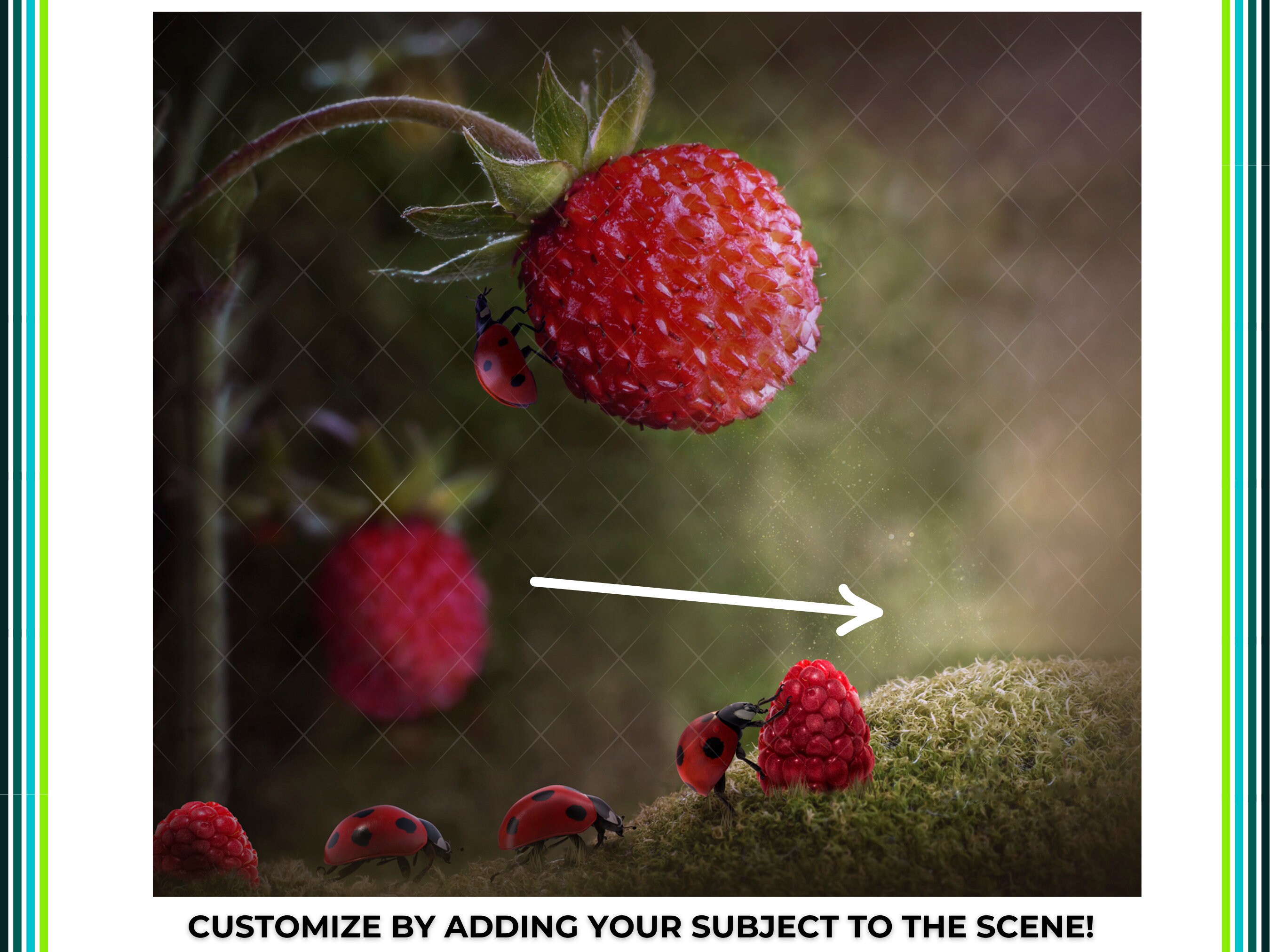 Raspberry and Ladybugs Digital Backdrop for Photographers, Insert Your ...