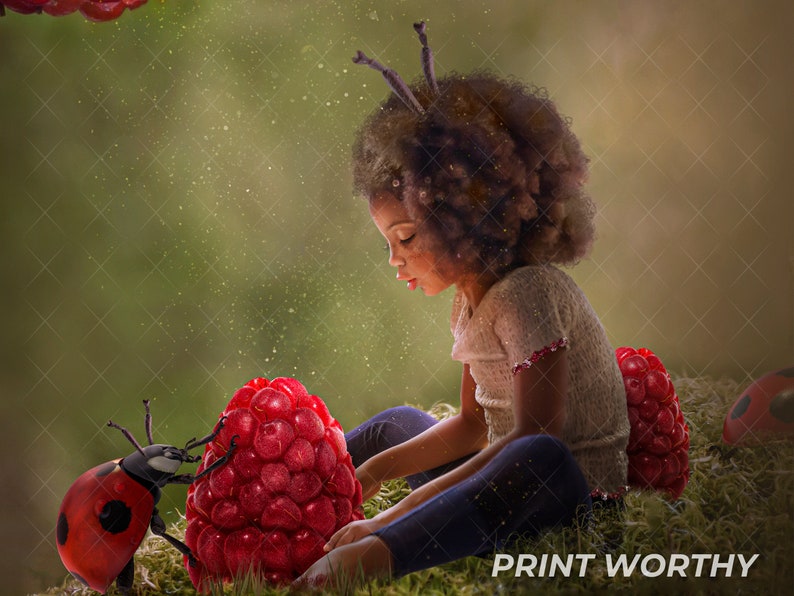 Raspberry and Ladybugs Digital Backdrop for Photographers, Insert Your ...