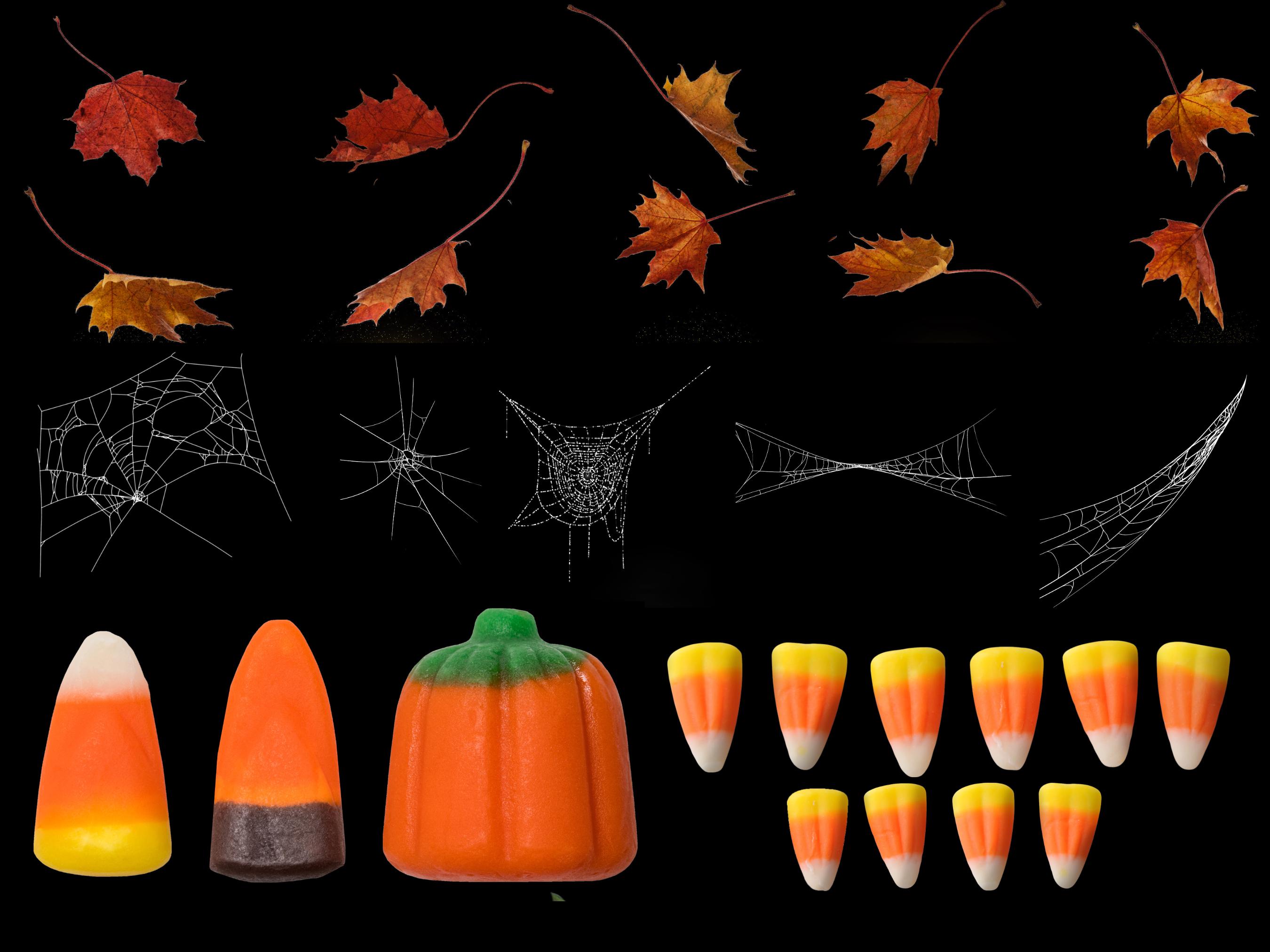 Halloween Photo Overlays: Spooky PNG Bundle (digital Download) - Etsy