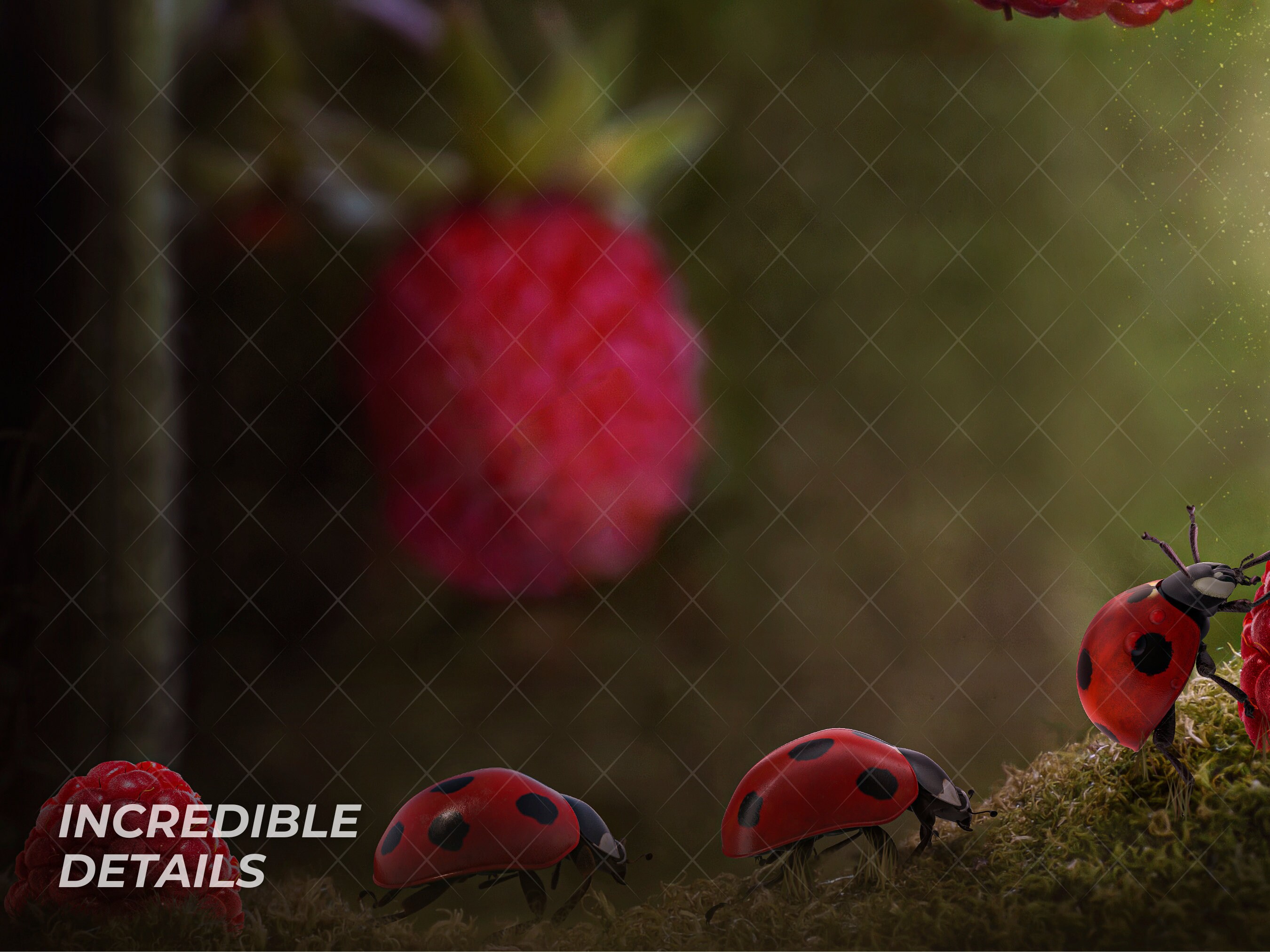 Raspberry and Ladybugs Digital Backdrop for Photographers, Insert Your ...