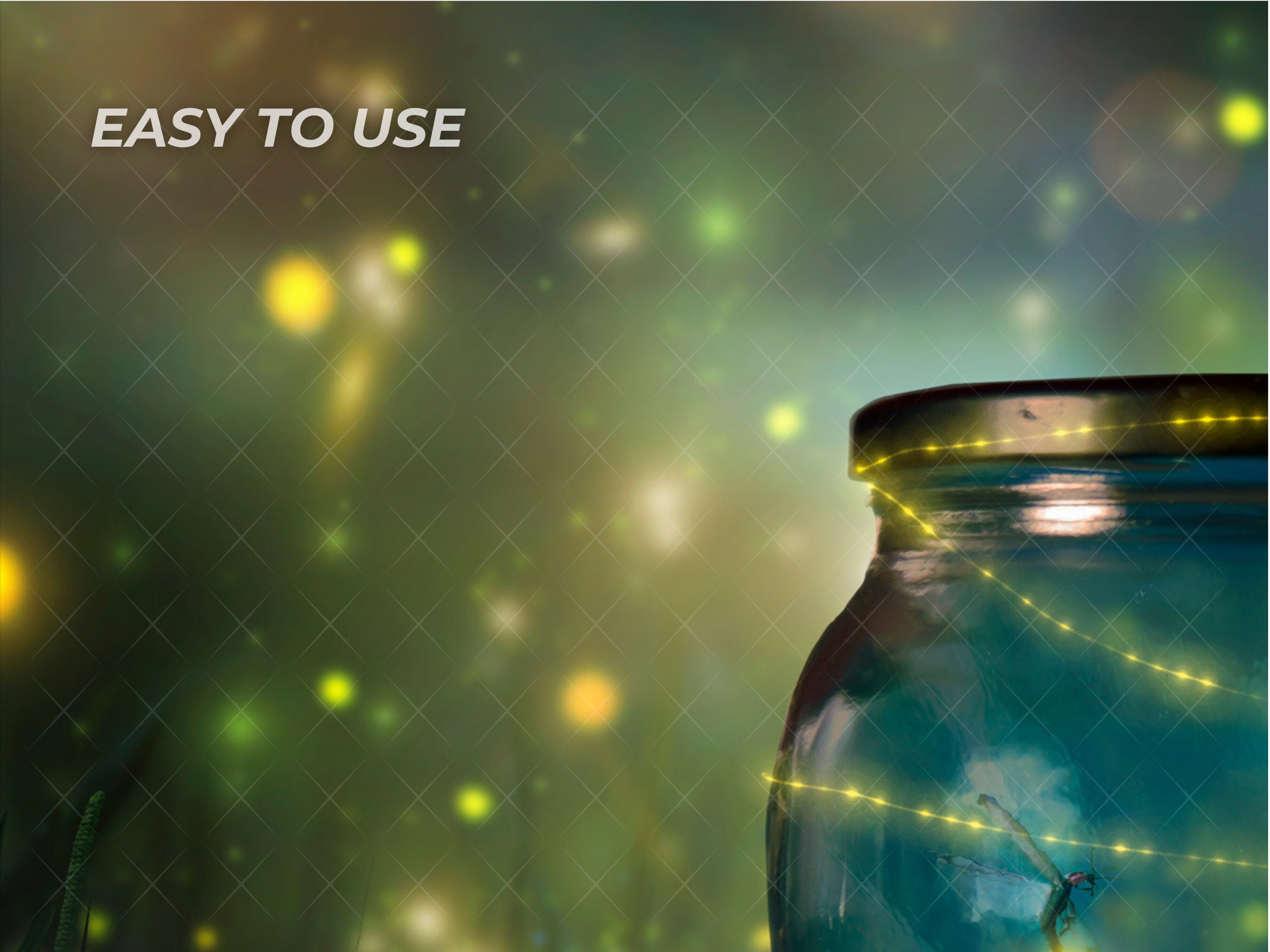 Firefly Digital Backdrop for Photographers Dreamy Fantasy - Etsy