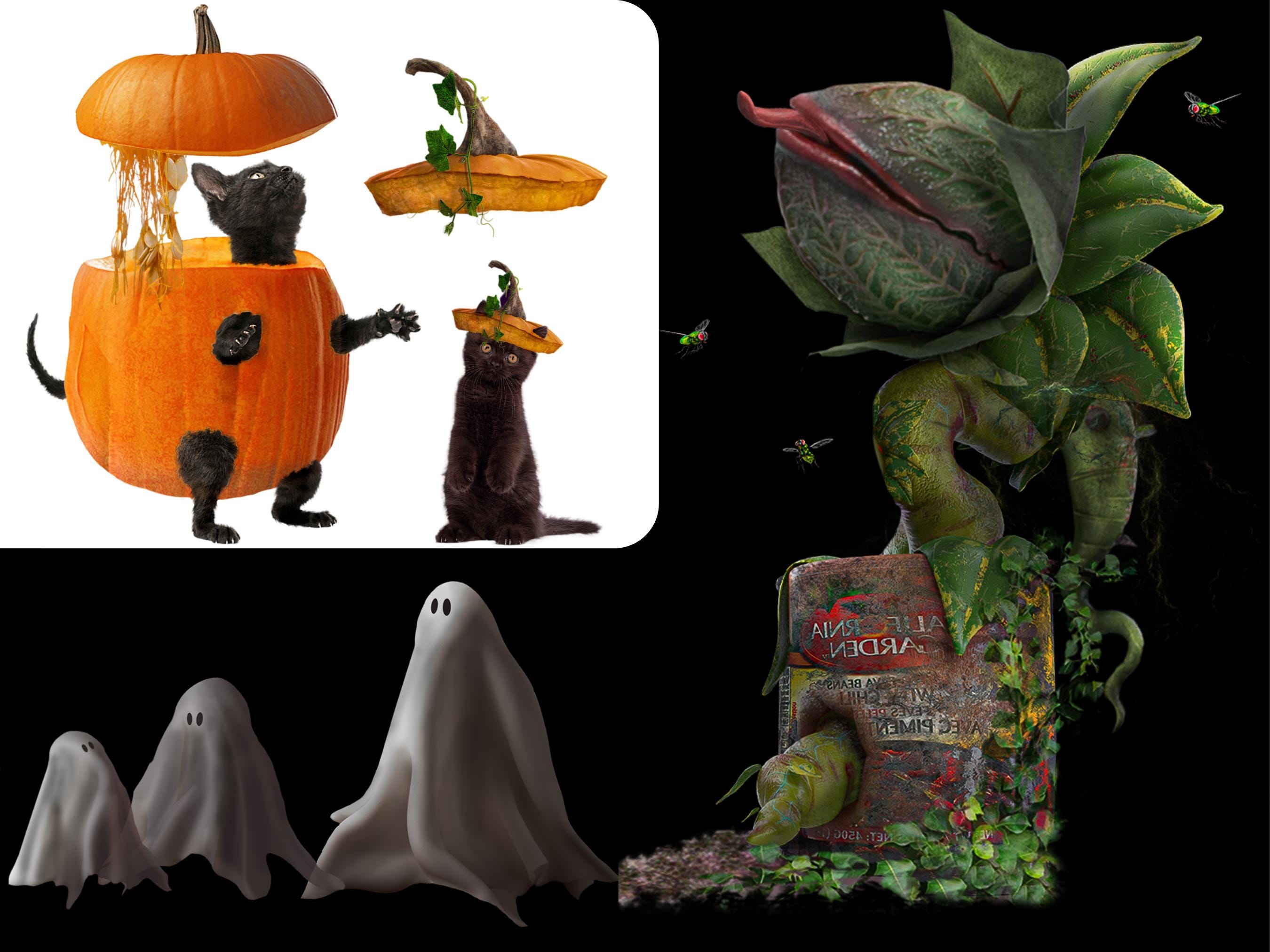 Halloween Photo Overlays: Spooky PNG Bundle (digital Download) - Etsy