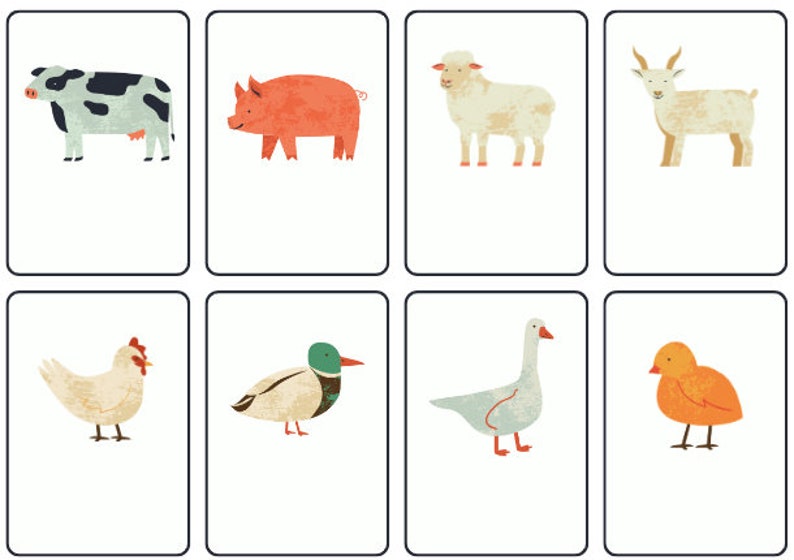 Printable Animal Flashcards for Kids - Etsy