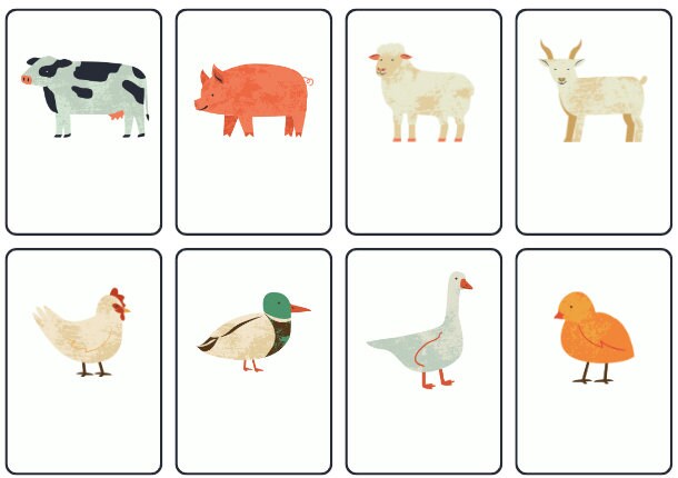 Printable Animal Flashcards for Kids - Etsy
