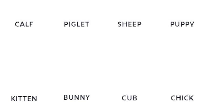 Printable Baby Animal Flashcards for Kids - Etsy