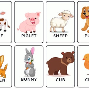 Printable Baby Animal Flashcards for Kids - Etsy
