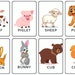 Printable Baby Animal Flashcards for Kids - Etsy