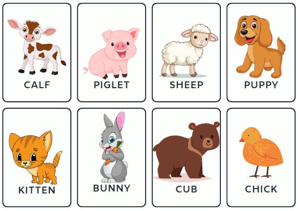 Printable Baby Animal Flashcards for Kids - Etsy