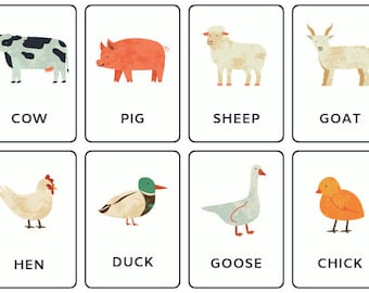 Printable Baby Animal Flashcards for Kids - Etsy