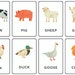 Printable Animal Flashcards for Kids - Etsy
