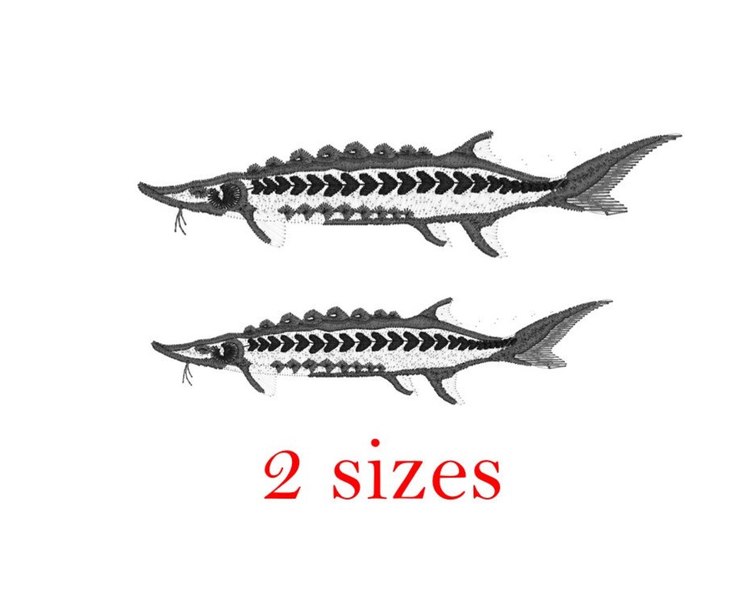 Sturgeon Embroidery Design. Nautical Embroidery Design. Sturgeon. - Etsy