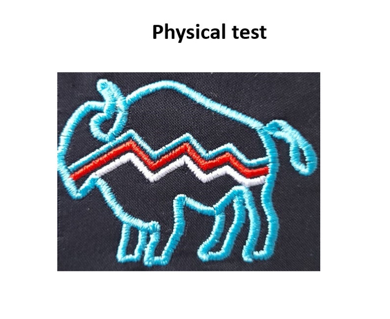 Buffalo Embroidery Design. Native American Embroidery Design. Digital ...