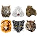 Wild Animals Png Bundle, Wild Animals Head Clipart Set, Safari Animals ...