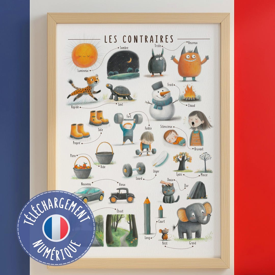 French Opposites Adjectives Poster, Kids Educational Wall Art ...