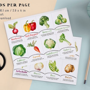 Vegetable Flashcards for Kids, Printable Learning Cards With Nursery ...