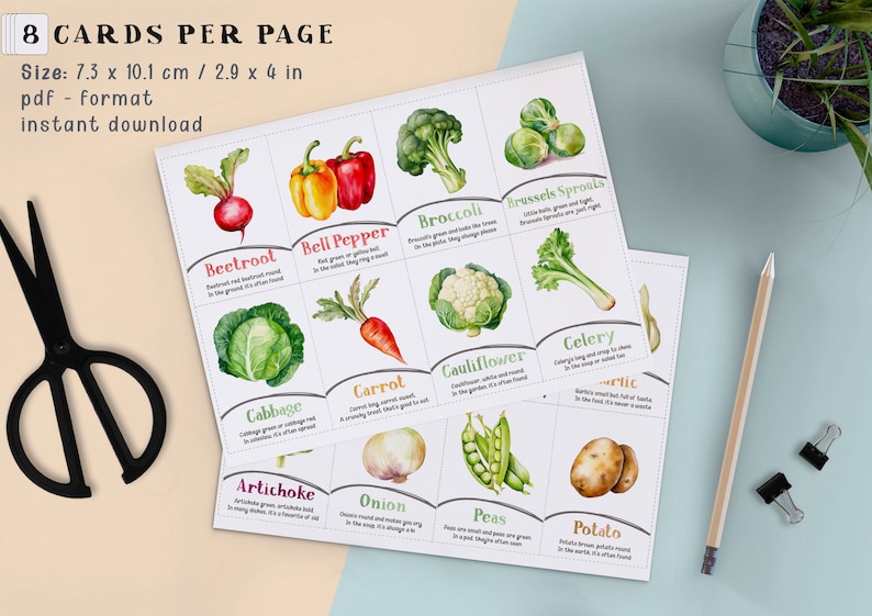 Vegetable Flashcards for Kids, Printable Learning Cards With Nursery ...