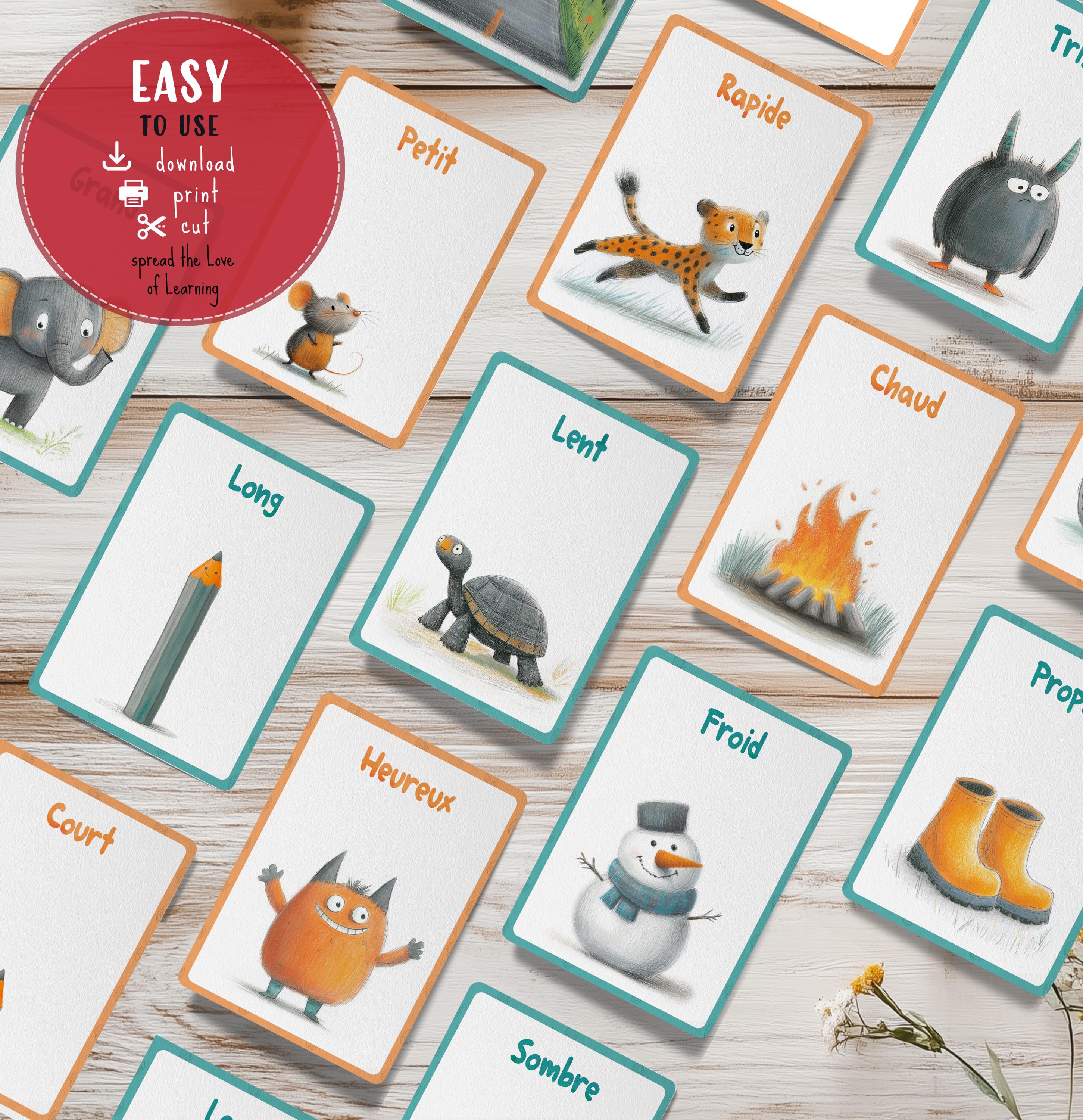 Cartes Flash Adjectifs Opposés Français | Apprentissage Langue ...